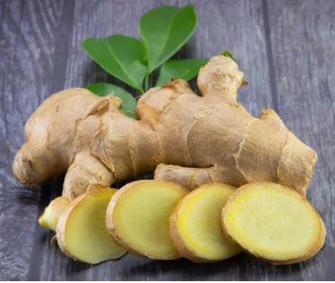 Gember kweken – KWEEK