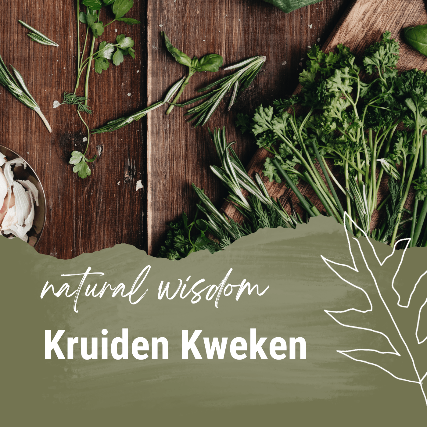 Populaire kruiden om thuis te kweken – KWEEK