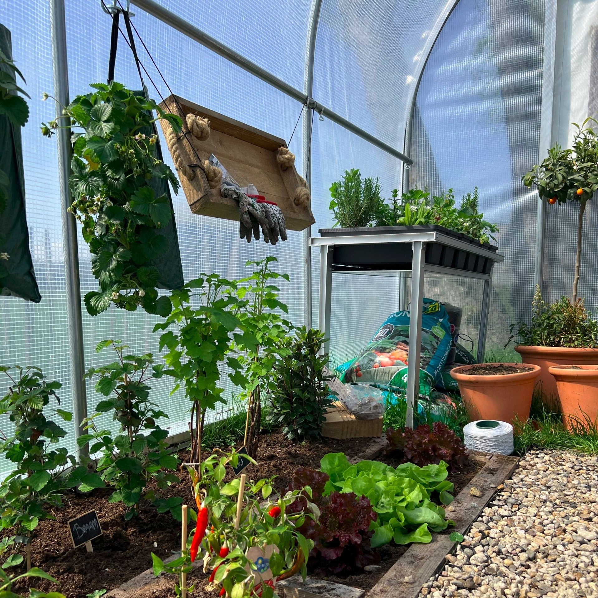 KWEEK ⚡ de meest complete leverancier voor foliekassen en tunnels ⚡